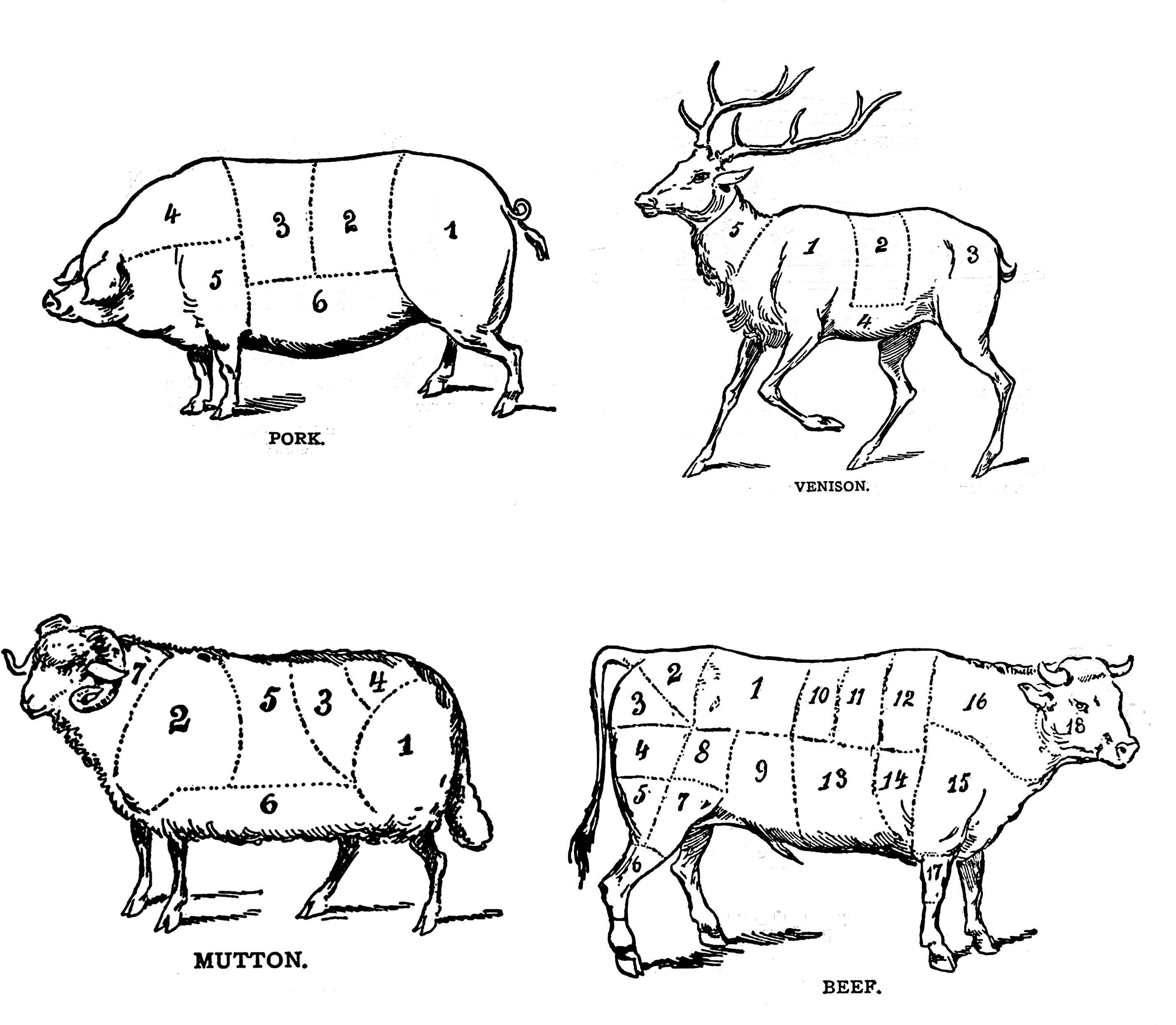 Download Outline Vintage Butcher Printables - ClipartKey