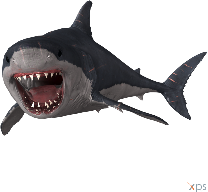 Download Megalodon Png Photo - Megalodon Transparent Background ...