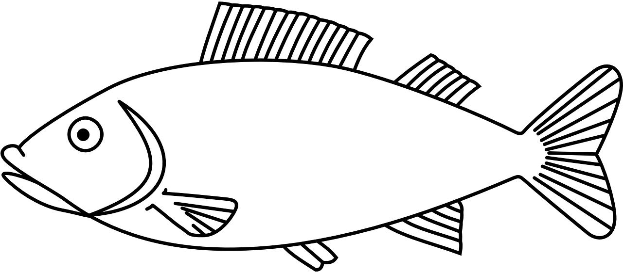 Download Cute Fish Clip Art Black And White - Fish Clip Art - ClipartKey