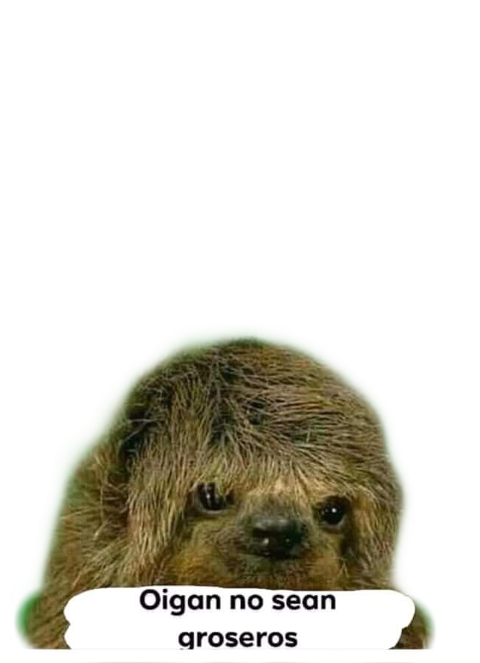 Download Oye No Seas Grosero Meme - ClipartKey