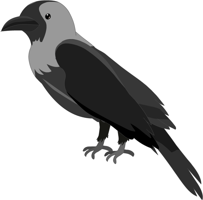 Download Kavla Pakshi Png - ClipartKey