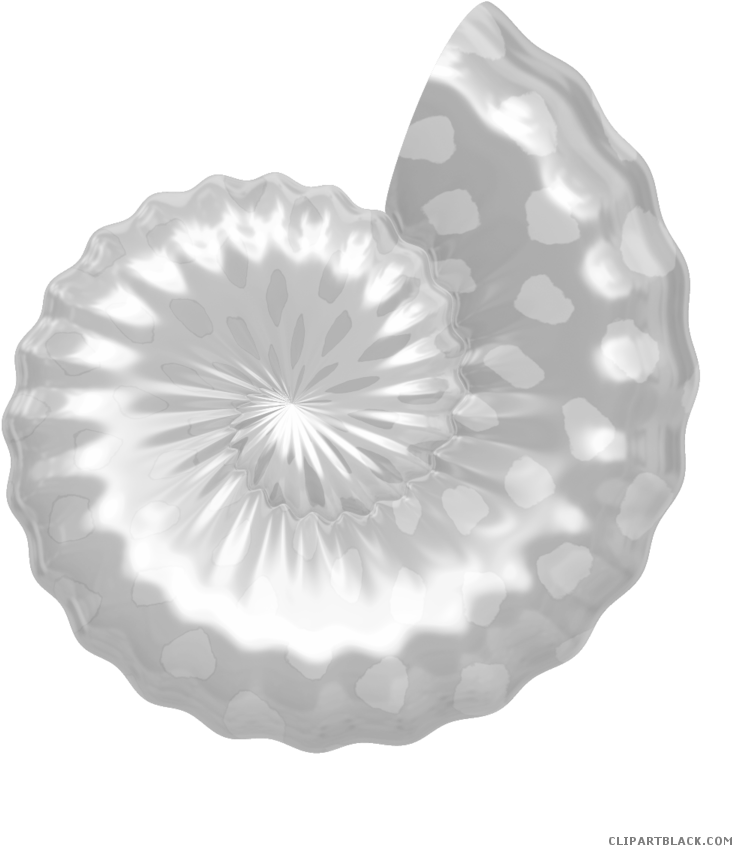 Download Transparent Seashell Clipart Transparent - Sea Cartoon ...