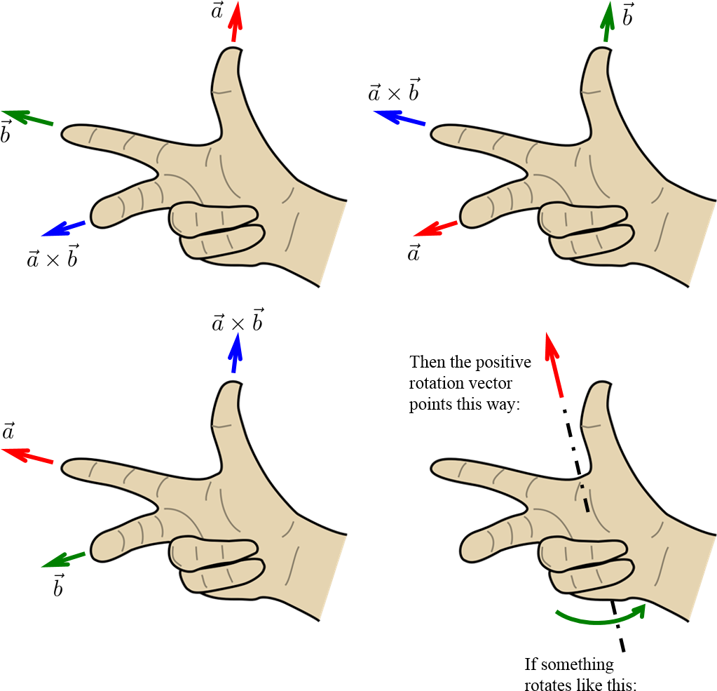 Download Thumb Vector Positive - Right Hand Rule Physics Torque ...