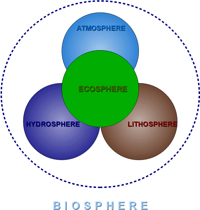 Download Biosphere - Photo - Draw A Picture Of Biosphere - ClipartKey