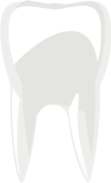 Download Teeth Vector Png Clipartkey