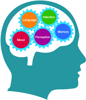 Download Cognitive Theory - ClipartKey