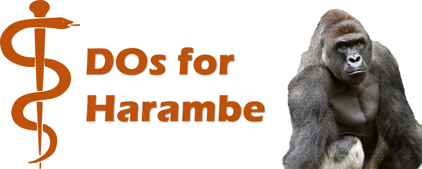 Download Harambe Png Transparent - Harambe Png - ClipartKey