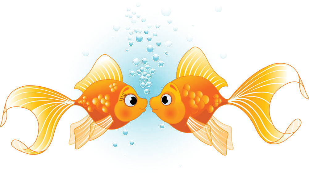 Download Fish Kissing Gourami Illustration - Kissing Fish Image Cartoon ...