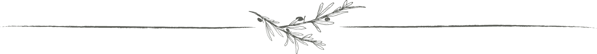 Download Floral Page Break Png - ClipartKey