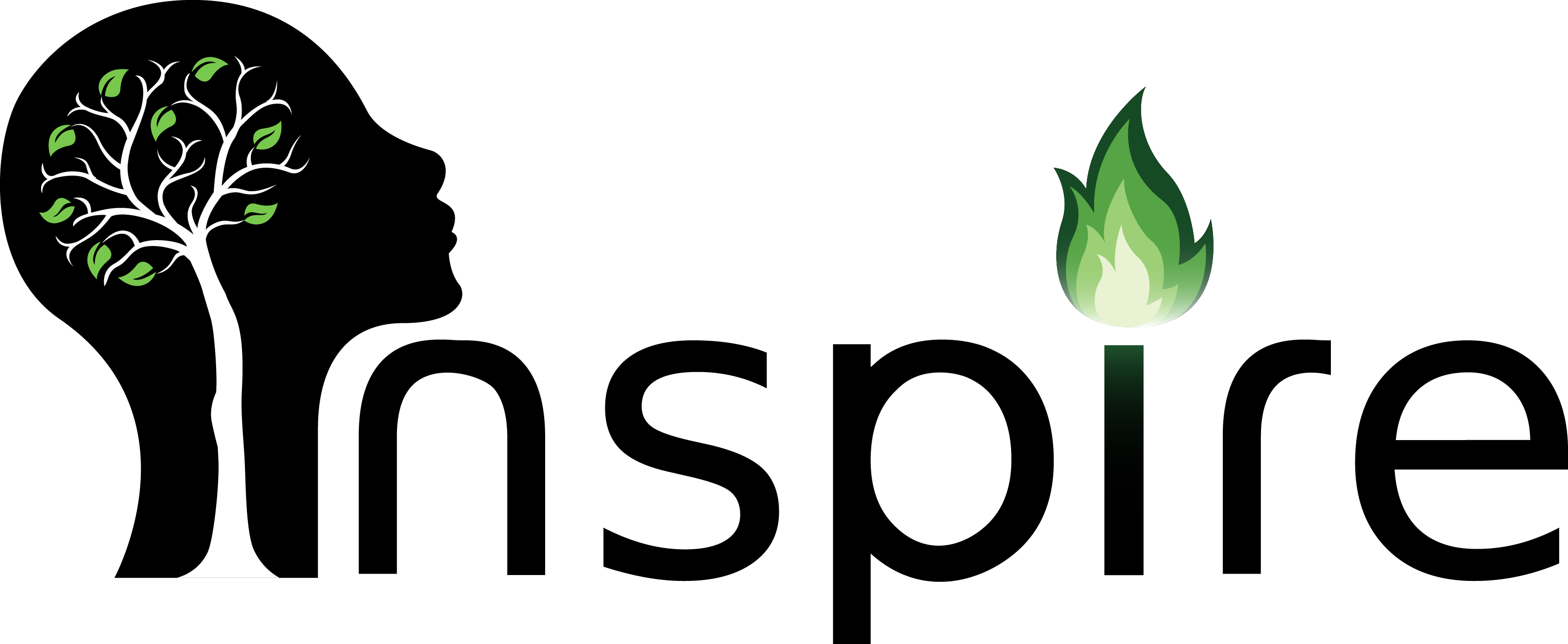 Download Spyder Ico Clipart , Png Download - Nspire Network Logo ...