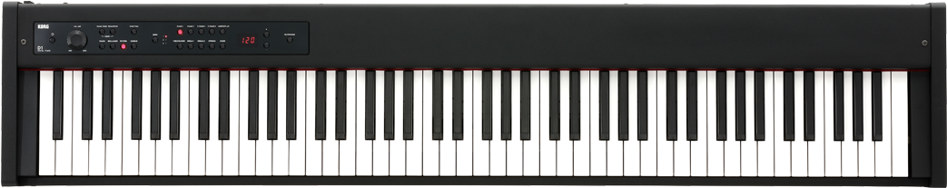 Download Piano Clipart Keyboard Casio - Korg Digital Piano D1 - ClipartKey