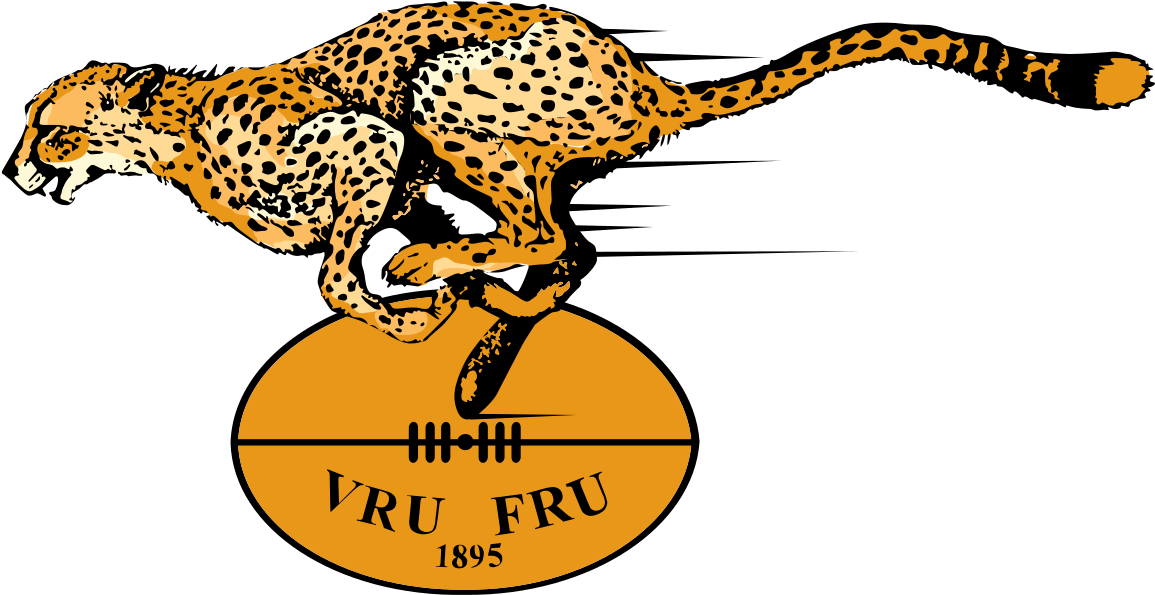 Download Cheetah Clipart Svg - Cheetahs Rugby Logo - ClipartKey