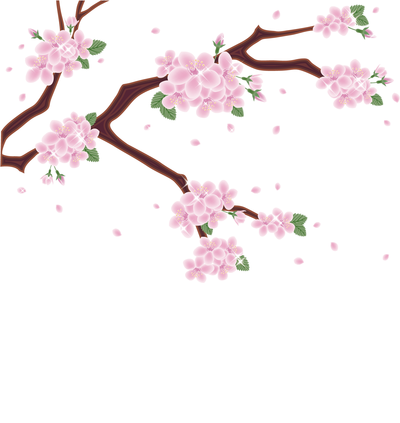 Download Transparent Cherry Blossom Png - Flower Cherry Blossom Clip ...