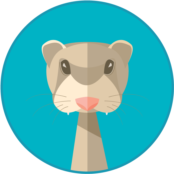 Download Dewey The Ferret Illustrator Flat - Cartoon - ClipartKey