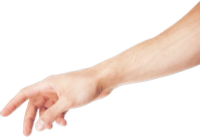Download Transparent Hand Grabbing Clipart - Arm Transparent - ClipartKey