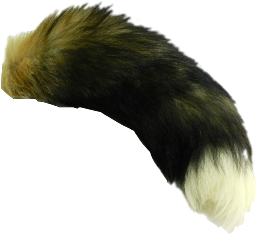 Download Fox Tails , Png Download - Transparent Fox Tail Png - ClipartKey