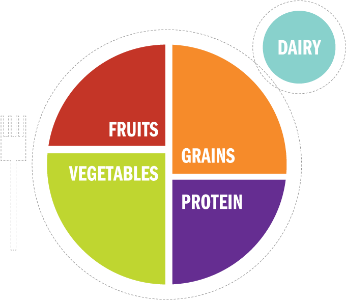 Download Transparent My Plate Clipart - My Plate No Background - ClipartKey