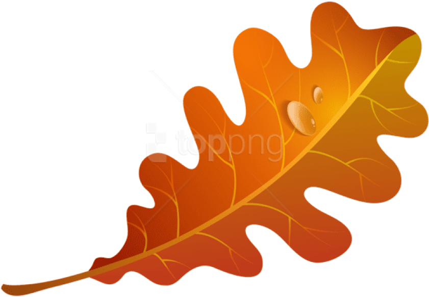 Download Leaf Clip Art Png - Orange Fall Leaves Clip Art - ClipartKey