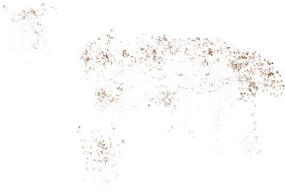 Download Freckles Png Transparent Image - Transparent Freckles - ClipartKey