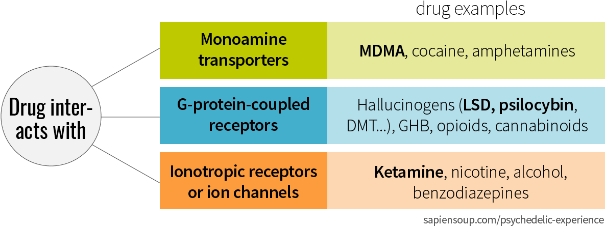 Download Transparent Psychedelic Png - Mdma Vs Lsd - ClipartKey