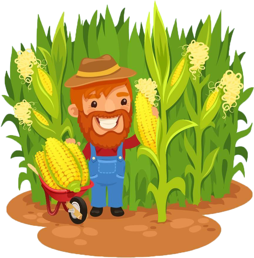 Download Maize Farmer Field Corn Clip Art - Corn Harvesting Clipart ...