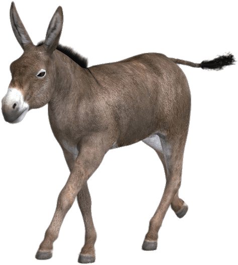 Download Running Mule - Mule Png - ClipartKey
