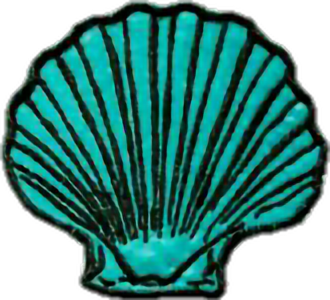 Download #tumblr #mermaid #marine - Transparent Png Mermaid Shell ...
