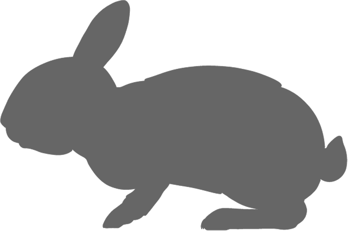 Download Transparent Rabbit Silhouette Png - Swamp Rabbit - ClipartKey