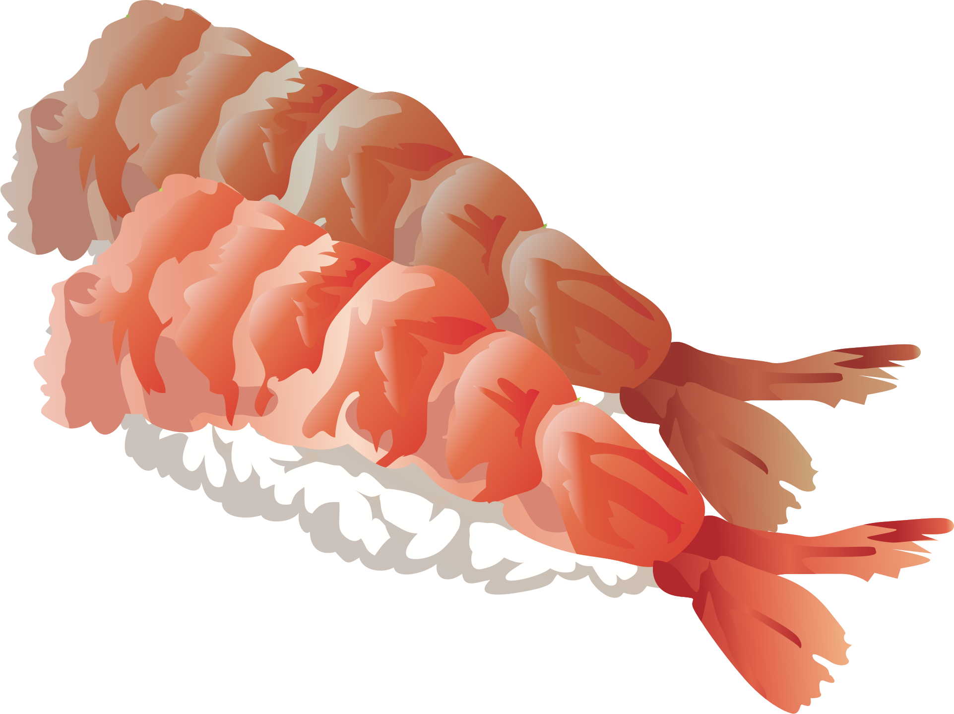 Download Transparent Krill Clipart - Shrimp Sushi Clip Art - ClipartKey