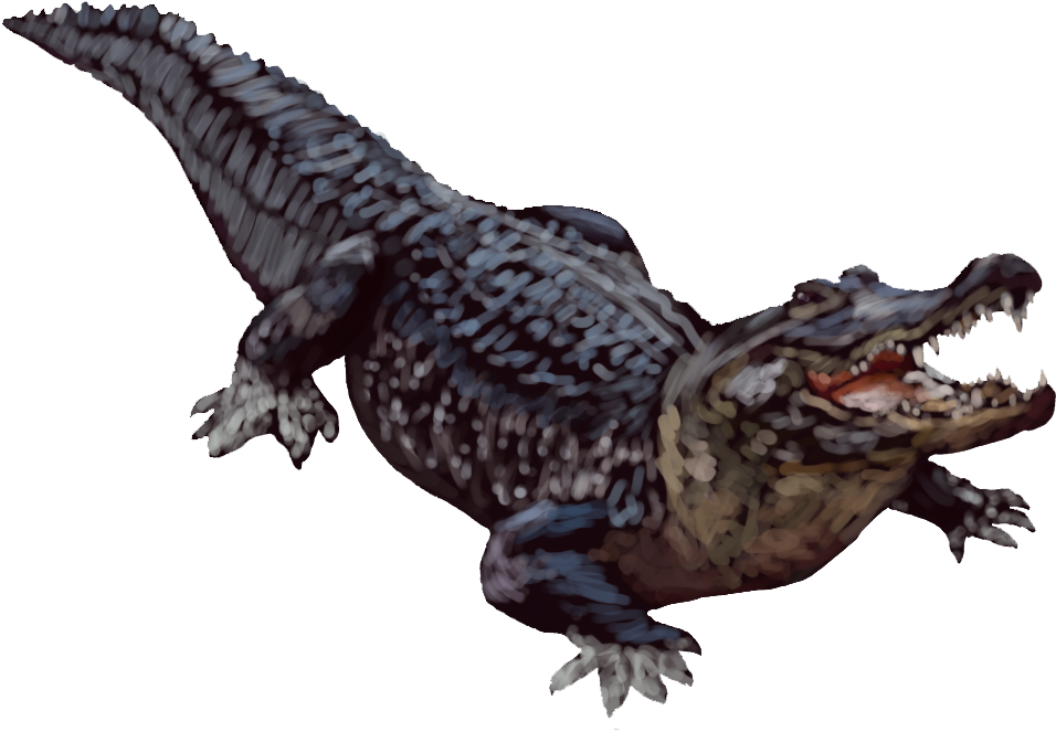 Download Clip Art Picture Of A Alligator - American Alligator White ...
