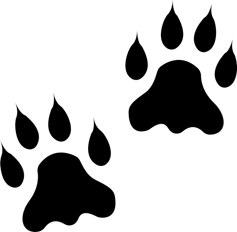 Download Transparent Deer Tracks Clipart - Lion Tracks - ClipartKey