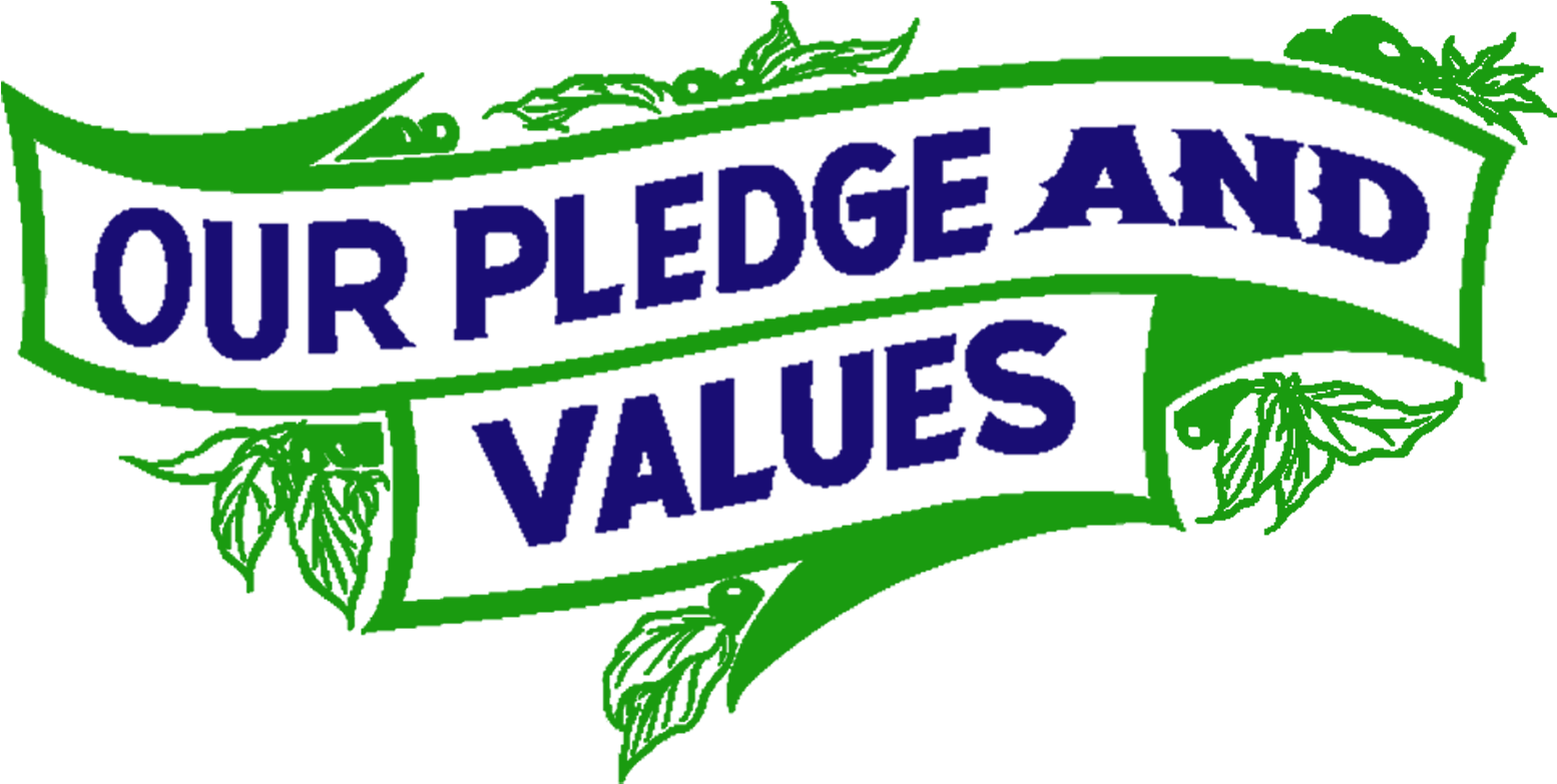 Download Pledge And Values - Illustration - ClipartKey