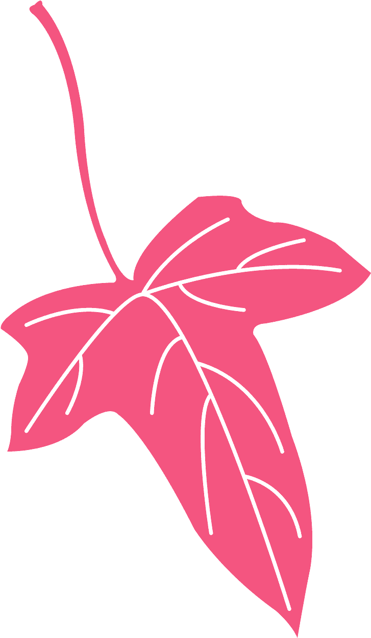 Download Pink Leaf Vector - ClipartKey