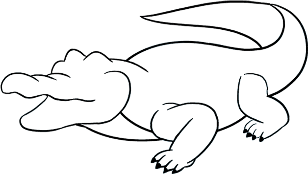 Download How To Draw Alligator - Buwaya Drawing - ClipartKey