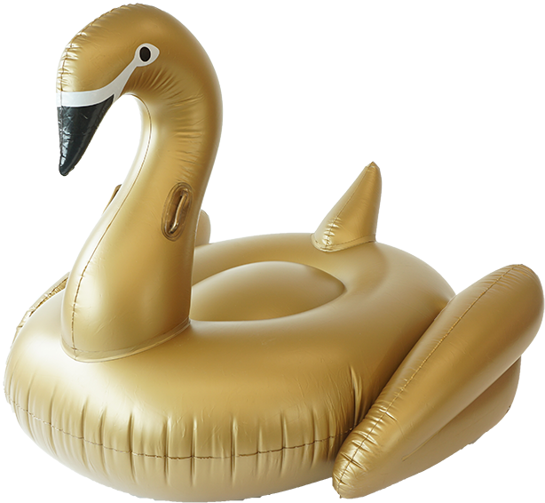 Download Transparent Pool Floaties Png - Float Pool Transparent ...