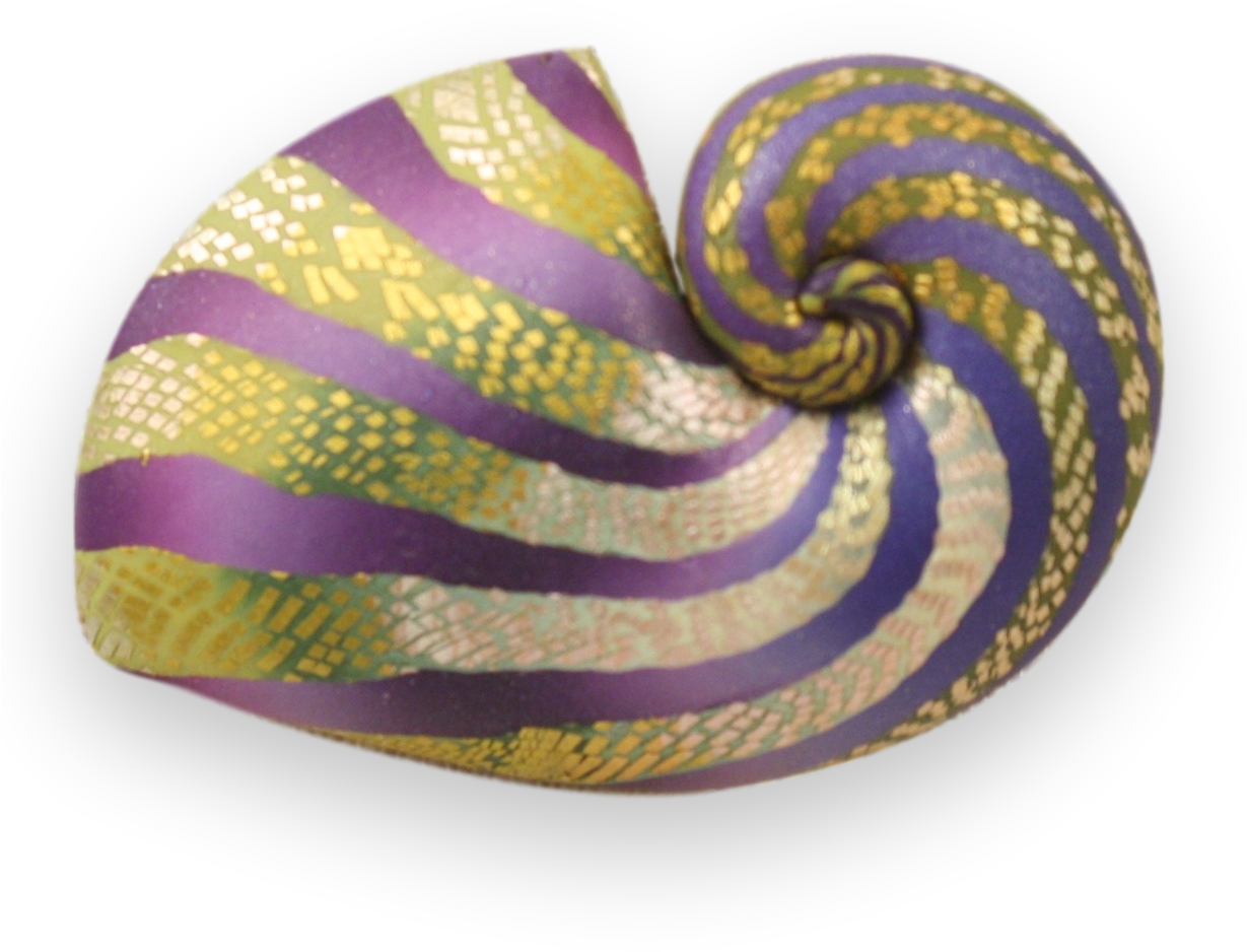 Download Elise Winters Python Python Clipartkey