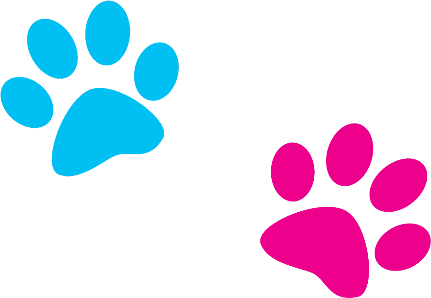 Download #paws #paw #blue #pink #print #dog #cat - Patitas De Animales ...