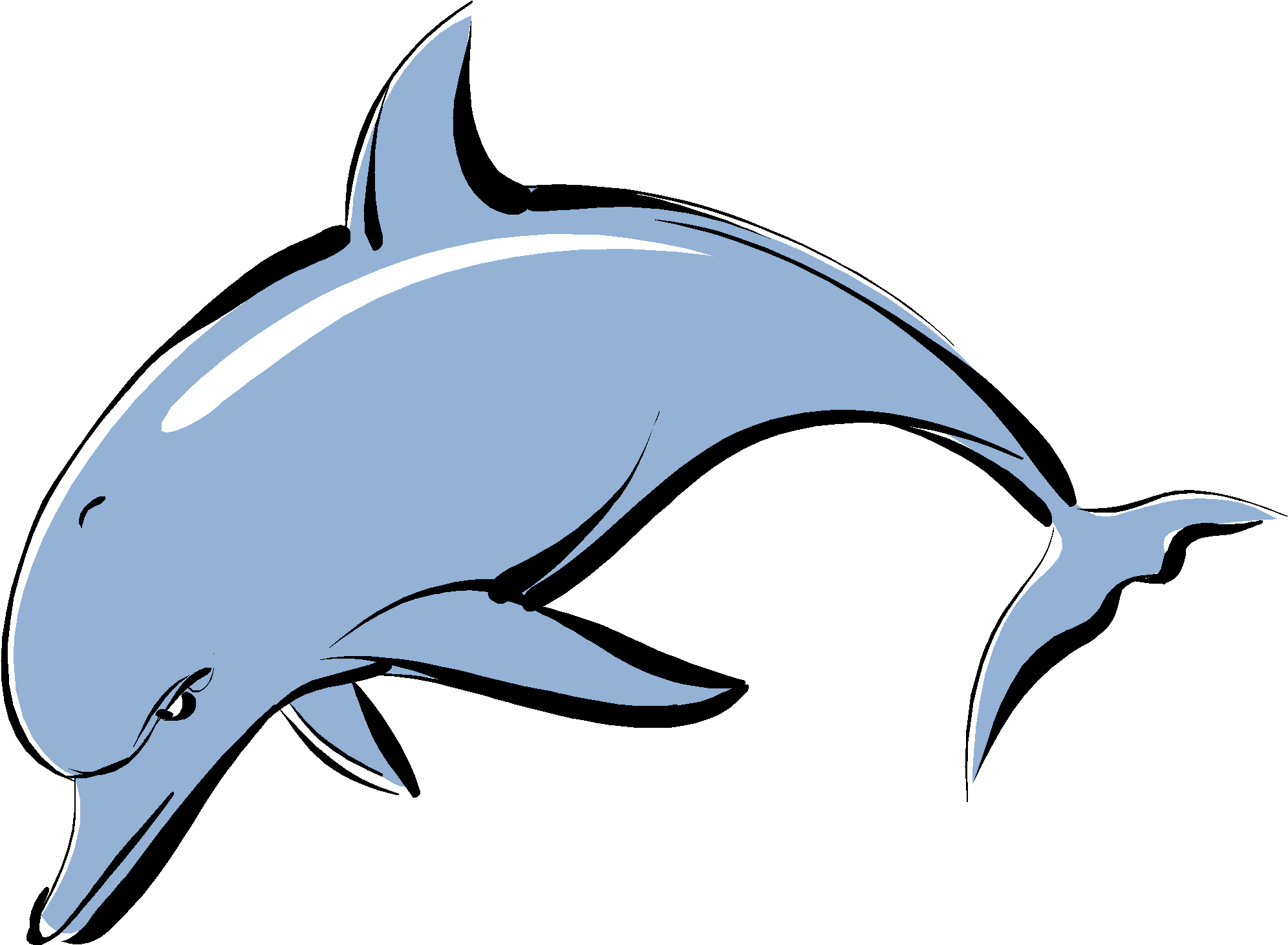 Download Clipart Dolphin Marine Biome - Lucile Souders Elementary ...