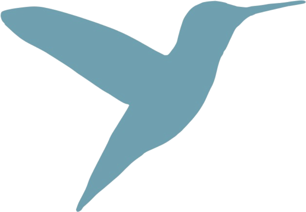 Download Fly Verb Clipart , Transparent Cartoons - Hummingbird - ClipartKey