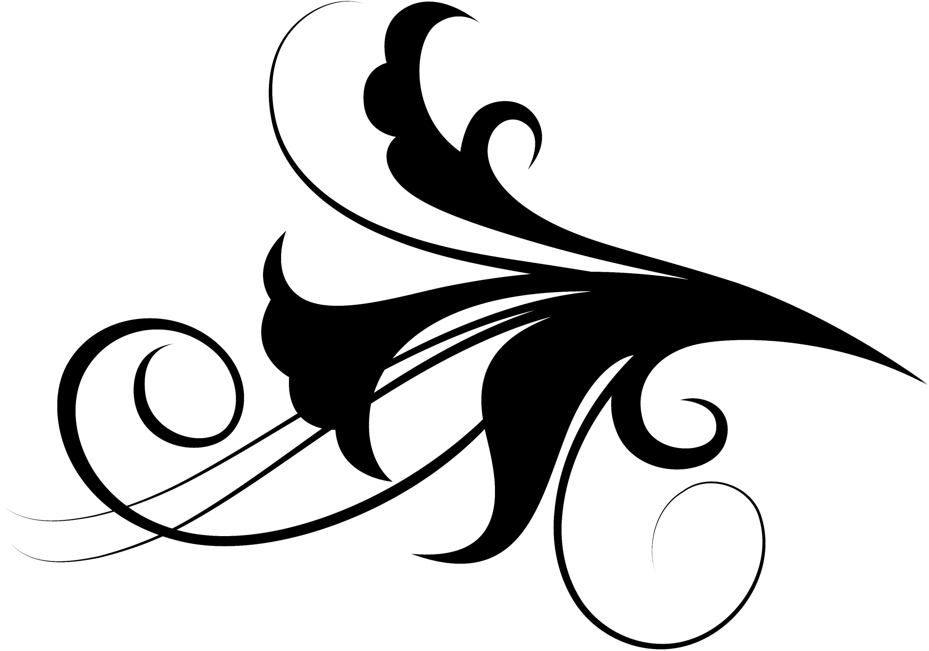 Download Drawing Scrolls Filigree - Filigree Png - ClipartKey