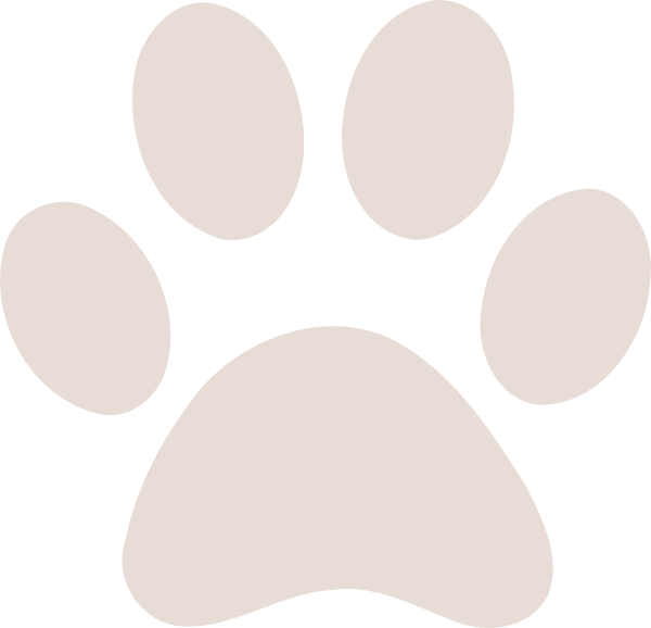 Download White Paw Print Transparent - ClipartKey