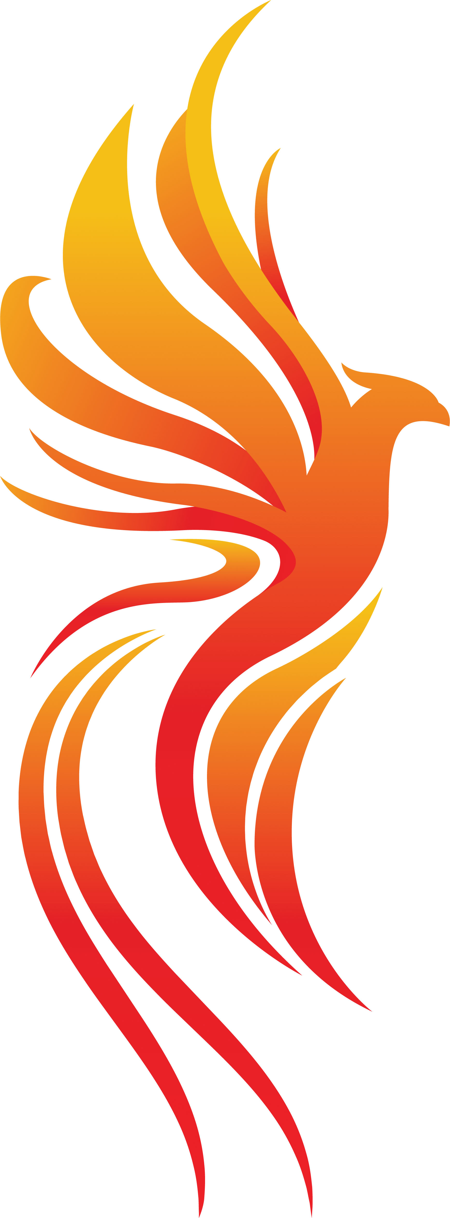 Download Fire - Firebird Clip Art - ClipartKey