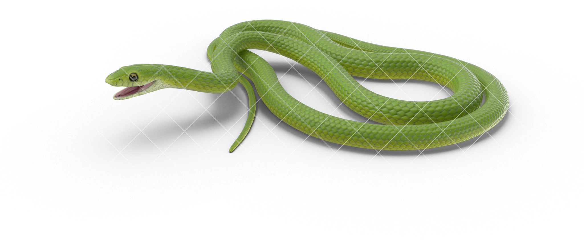 Download Clip Art Green Rat Snake - Green Snake Png - ClipartKey