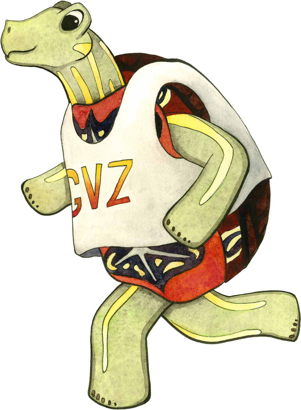 Download Greater Vancouver Zoo Turtle Dash Race - Cartoon - ClipartKey