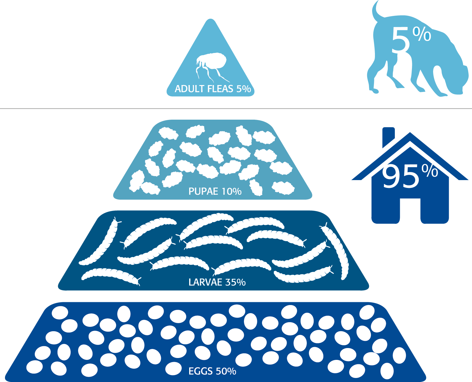 Download Pyramid Of Numbers Dog With Fleas - ClipartKey