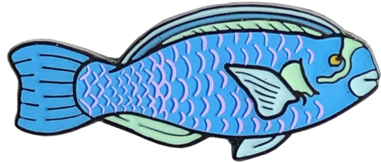 Download Uhu Uliuli Parrotfish Pin - Coral Reef Fish - ClipartKey