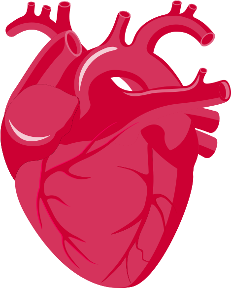 Download Rate Clipart Heart Failure - Illustration - ClipartKey Download Rate Clipart Heart Failure - Illustration - ClipartKey