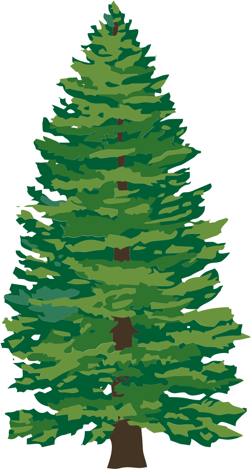 Download Tall Tree Clip Art - Westford Elementary School - ClipartKey