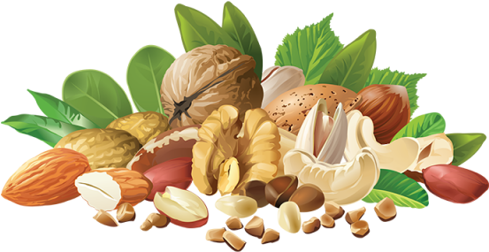 Download Realistic Different Nuts, Realistic Nuts, Different - Nuts ...