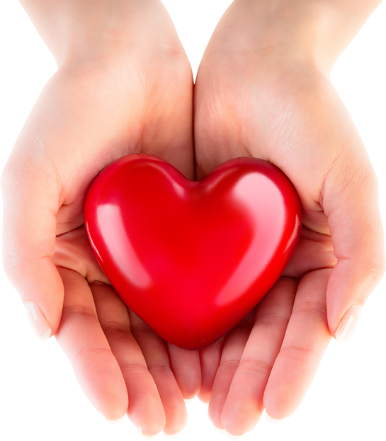 Download Transparent Hand Heart Png - Heart In Safe Hands - ClipartKey